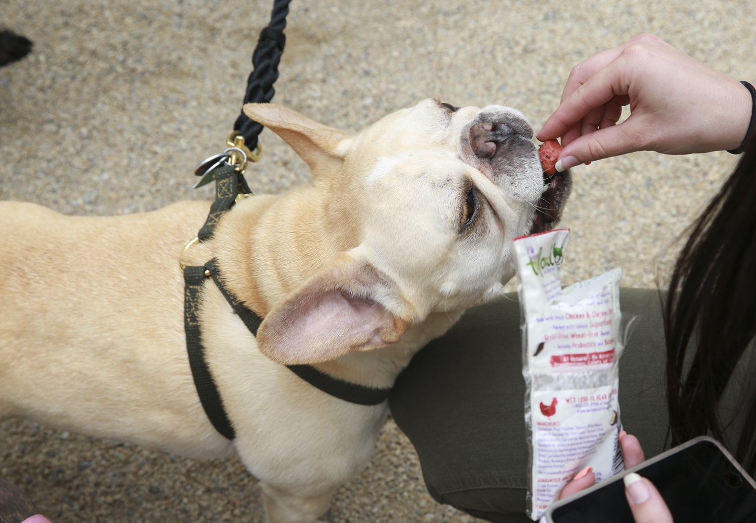 Pet Sampling Goes Epicurean With Wellness TruFood’s Truck Tour