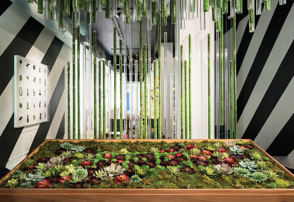 Multisensory Experiences Help Brands Cut Through the Clutter