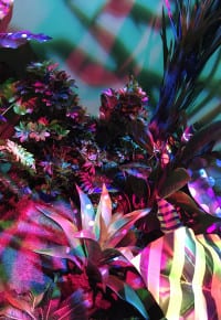 The Dream Machine Experience: Inside an Instagram Museum