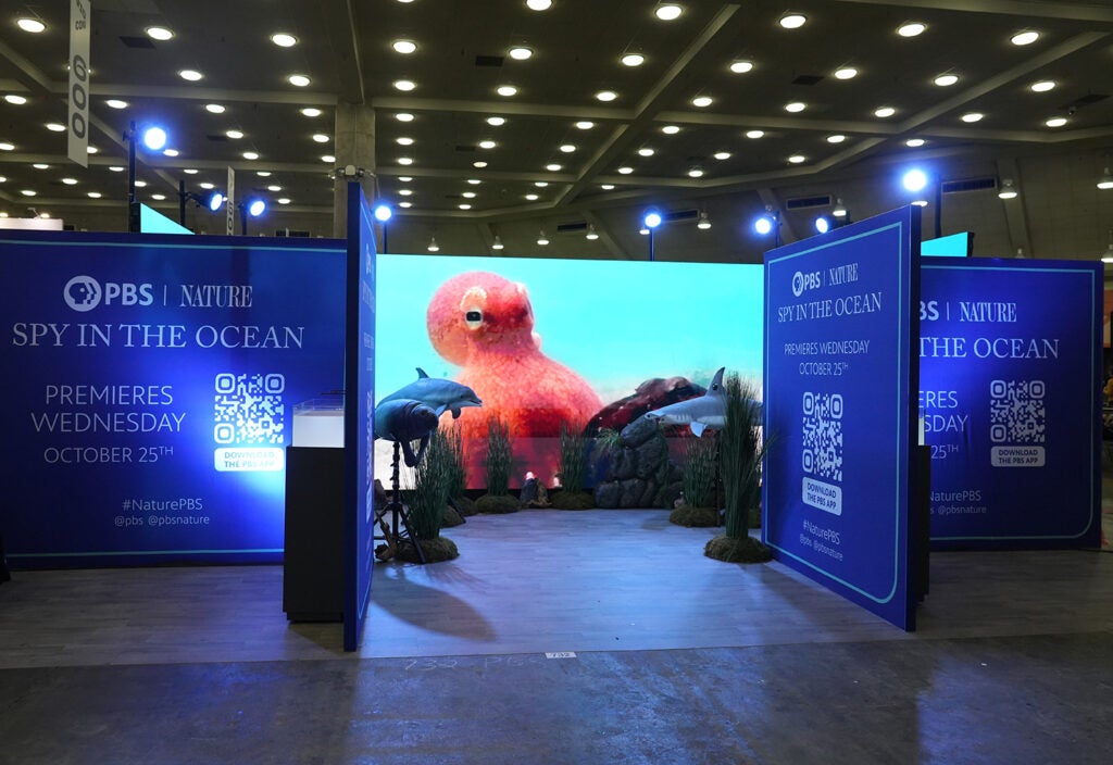 PBS’s Ocean-themed booth at VidCon Baltimore Engages Teens