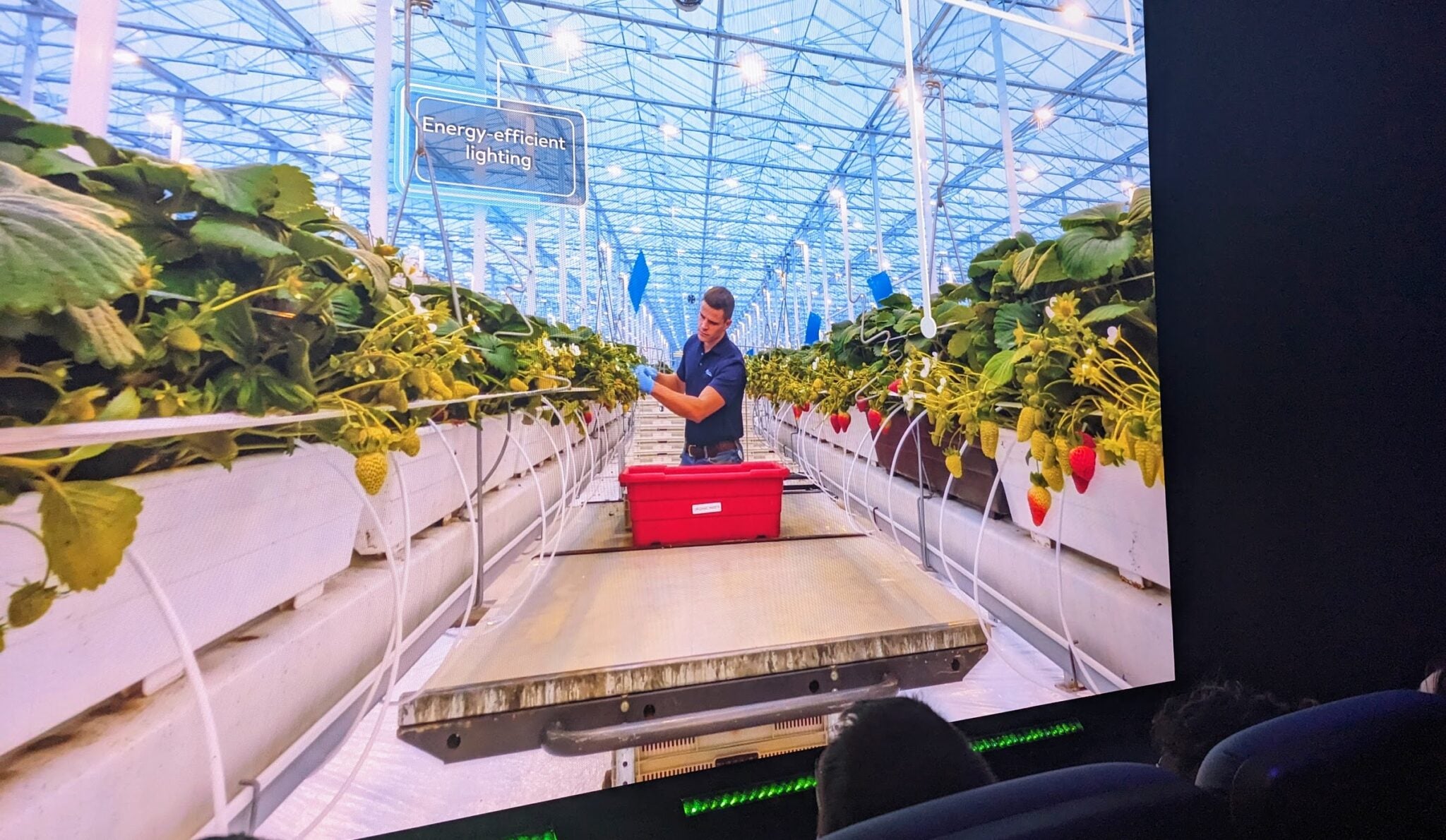 CES 2024 Coverage: Theme Park-Style Thrills Take the Cake on the Showfloor - Event Marketer