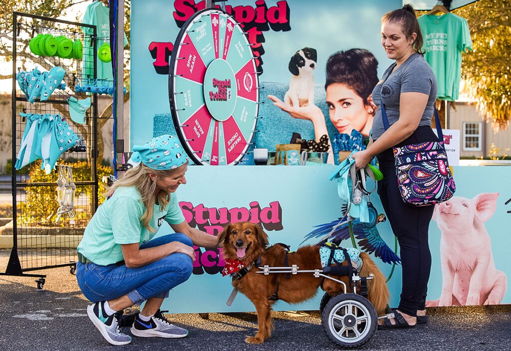 The Brief: Stupid Pet Tricks and Cocktail Lingerie