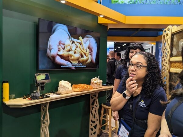 Trending: Interactive, Science Lab-themed Pop-up Activations