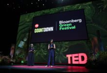 Inside Bloomberg Green Festival with Jessica Webber of Bloomberg Live