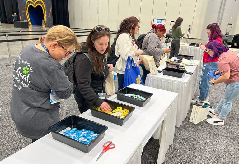 VMX 2025 Inspires Exhibitors to Get Creative with New Art Theme