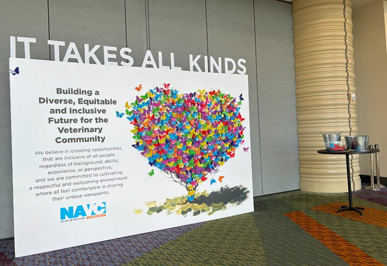 Six Ideas from VMX 2025 to Spice up Your Conference Expo